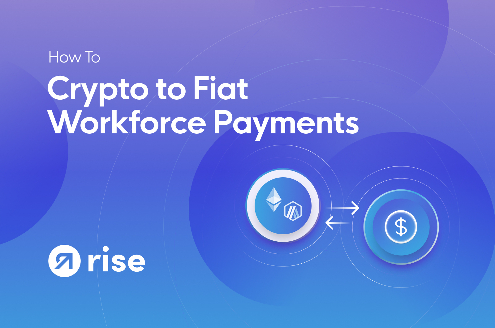 Rise | How to fund payroll in crypto and send payouts in fiat to your global team